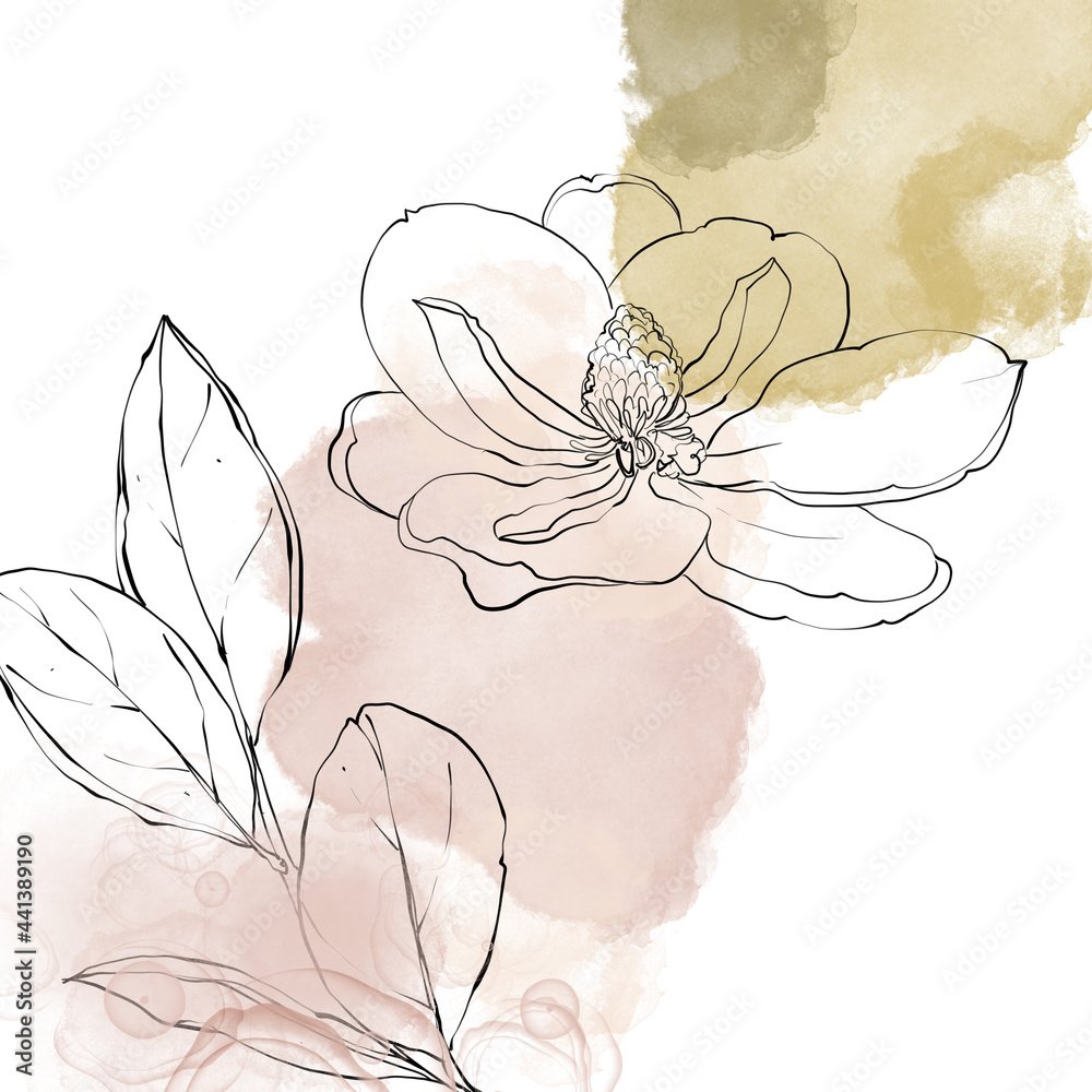 Digital watercolor and line art magnolia background. Lina drawing ...