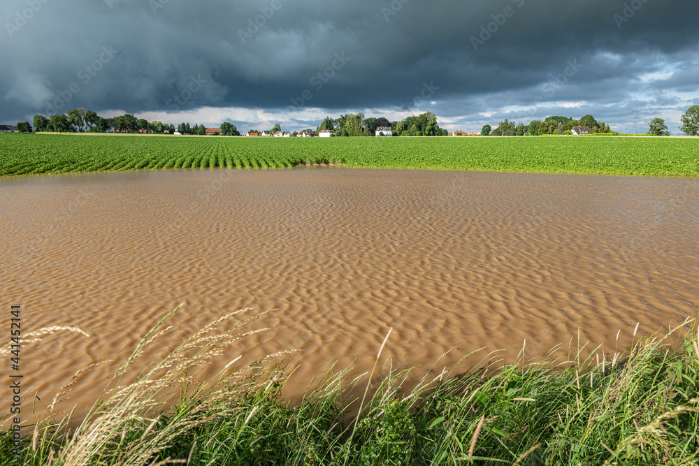 Champ de pomme de terre inondé suite à de violents orages. Ciel très ...