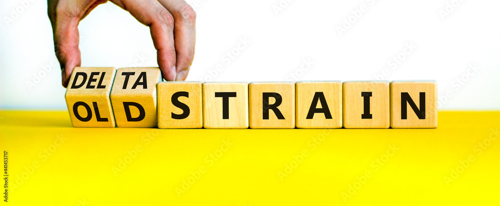 Covid-19 old or delta strain symbol. Doctor turns wooden cubes and ...