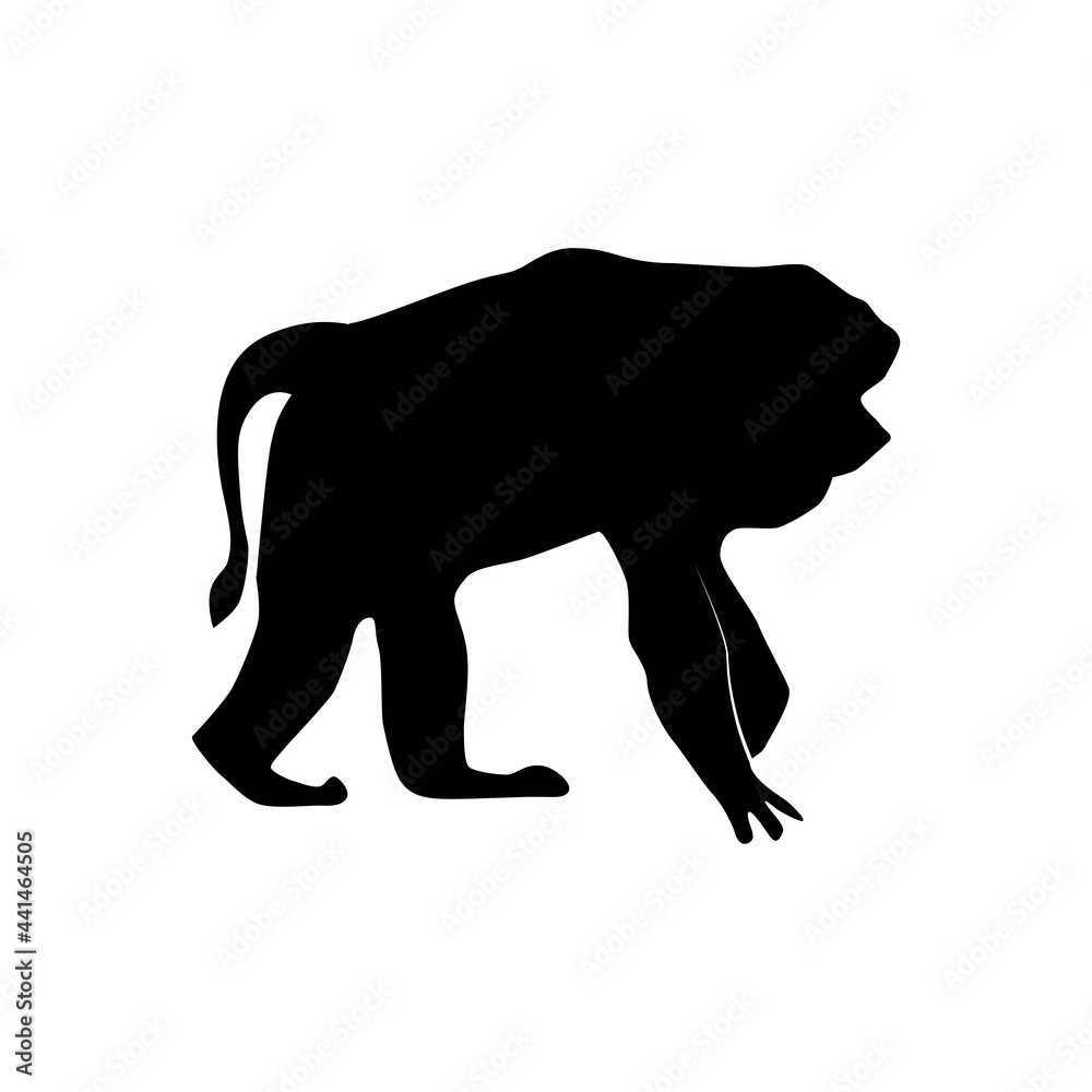 Lion-tailed macaque or Macaca silenus or Wanderoo, vector silhouette ...
