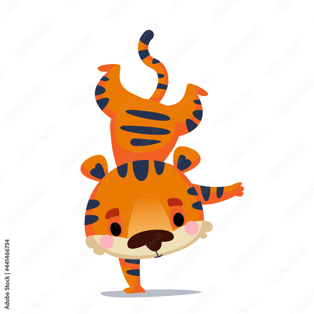 The athlete tiger cub stands on one hand upside down. Vector ...