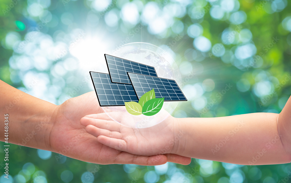 Technician hand holding green plant in digital world over Solar cell ...