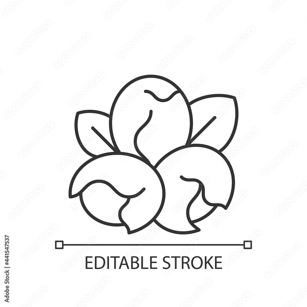 Soy nuts linear icon. Vegetarian crunchy snacks made from soybeans ...