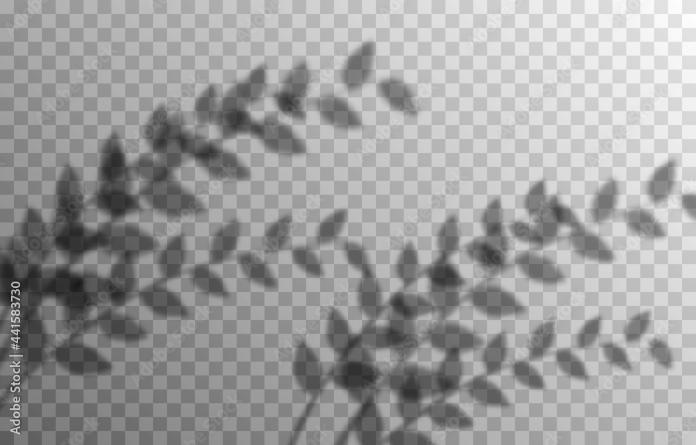 The effect of overlaying shadows. The shadow from plants, flowers ...