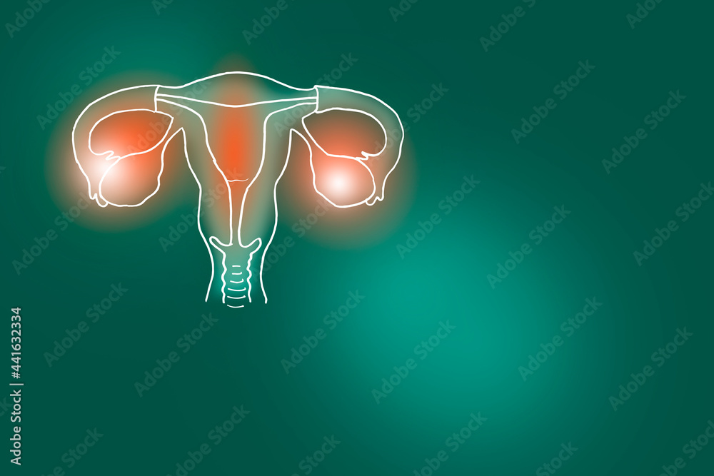Handrawn illustration of human Uterus on deep green background. Medical ...