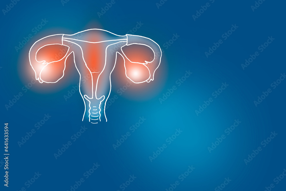 Handrawn illustration of human Uterus on dark blue background. Medical ...