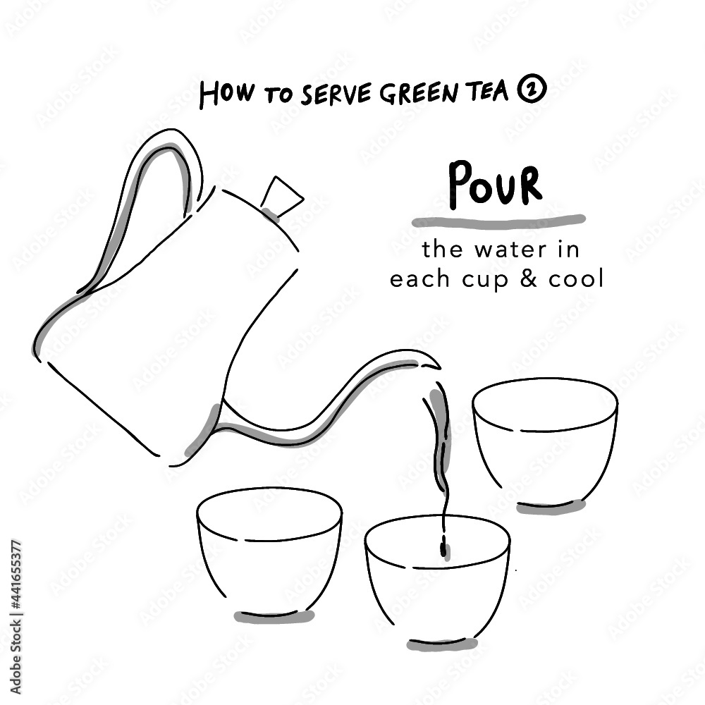Hand drawn illustration of infographics of how to serve green tea step ...