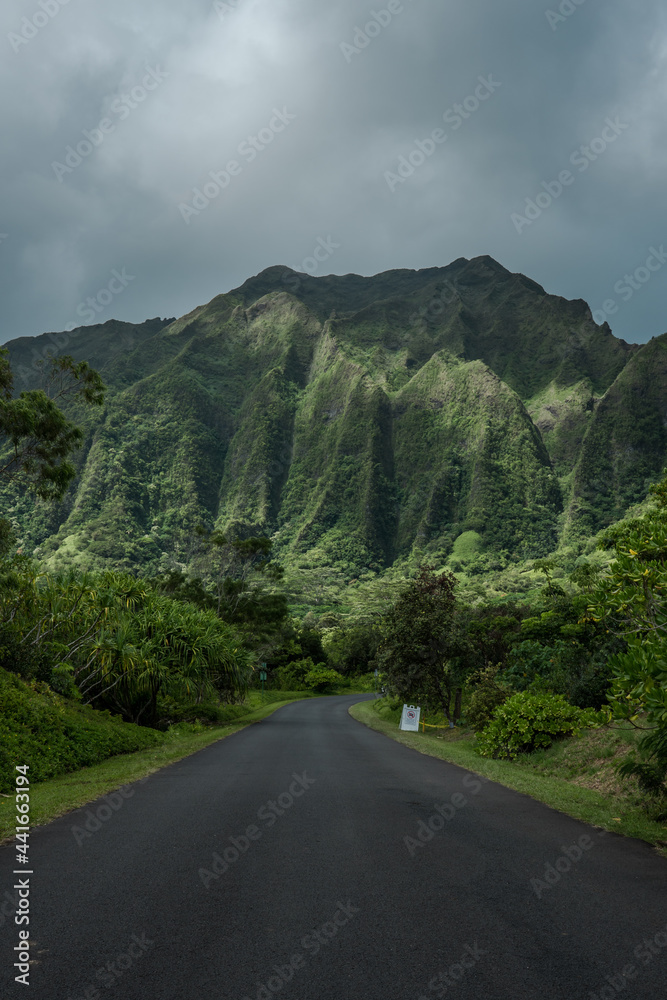Koolau Range, Hoomaluhia Botanical Garden, Honolulu, Oahu, Hawaii ...