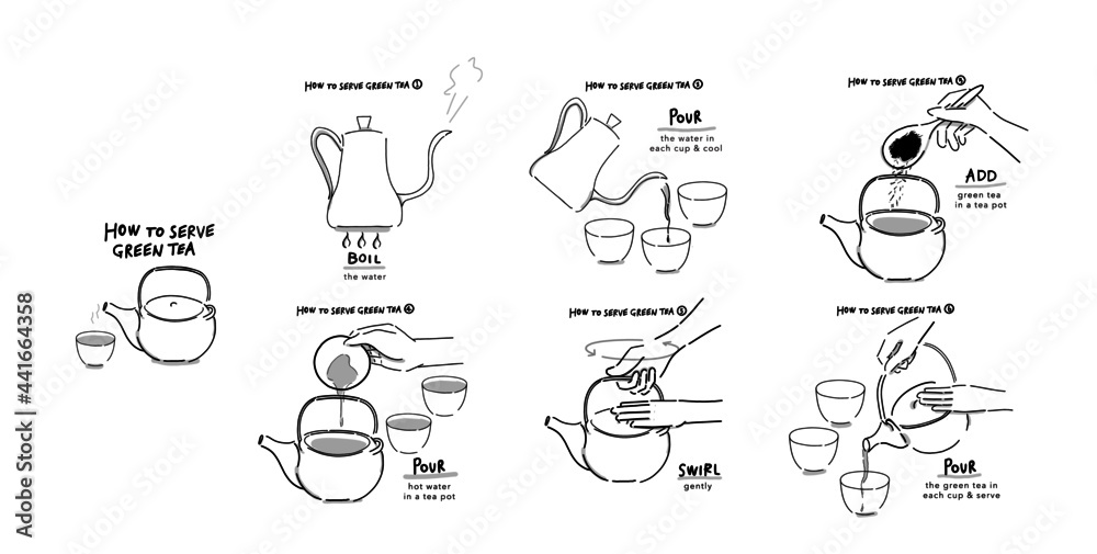 Hand drawn illustration of infographics of how to serve green tea in 6 ...