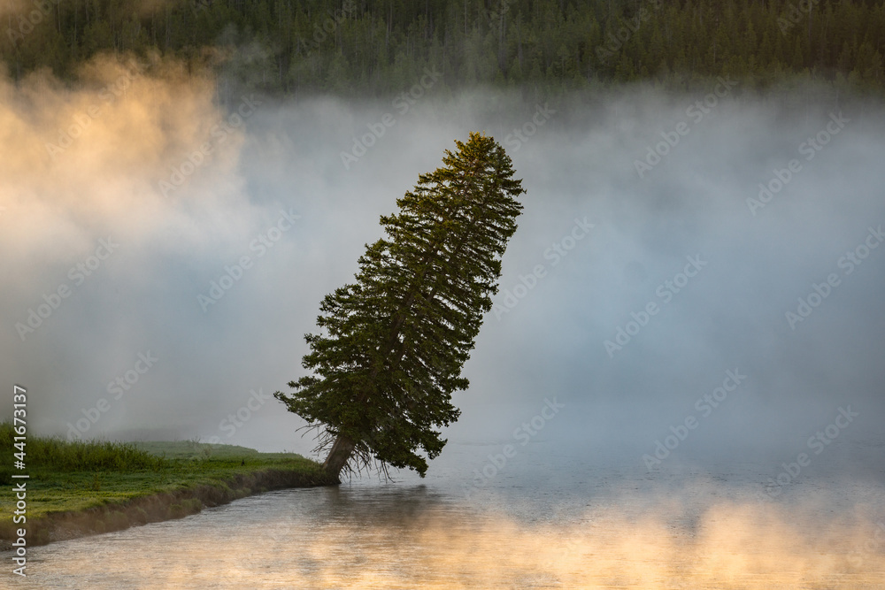 Landscape photo of fog hangs over trees along a river with light rays ...