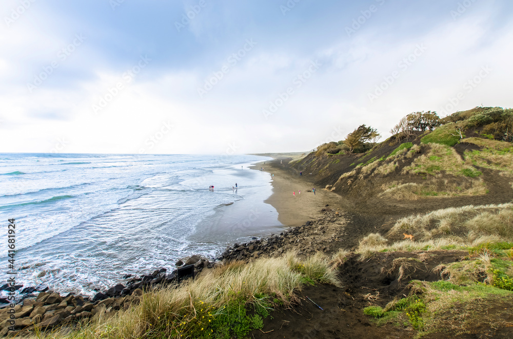 Muriwai Beach