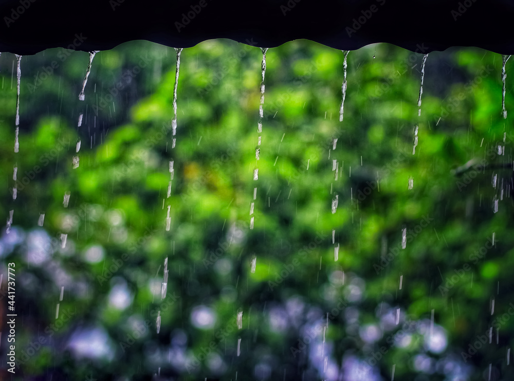Raining outside with green background. Raining on a soil house rooftop ...
