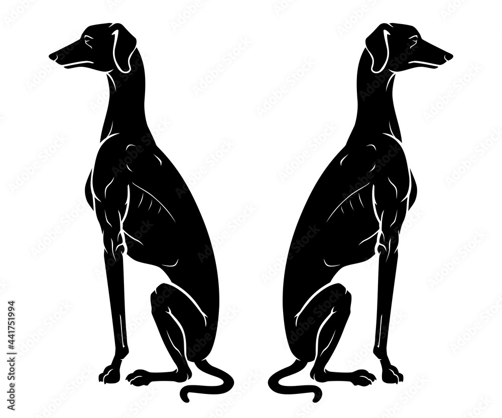 Greyhound Silhouette Standing