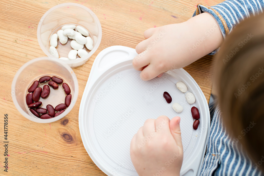 Foto de Boy sorting kidney beans from white beans. Montessori concept ...