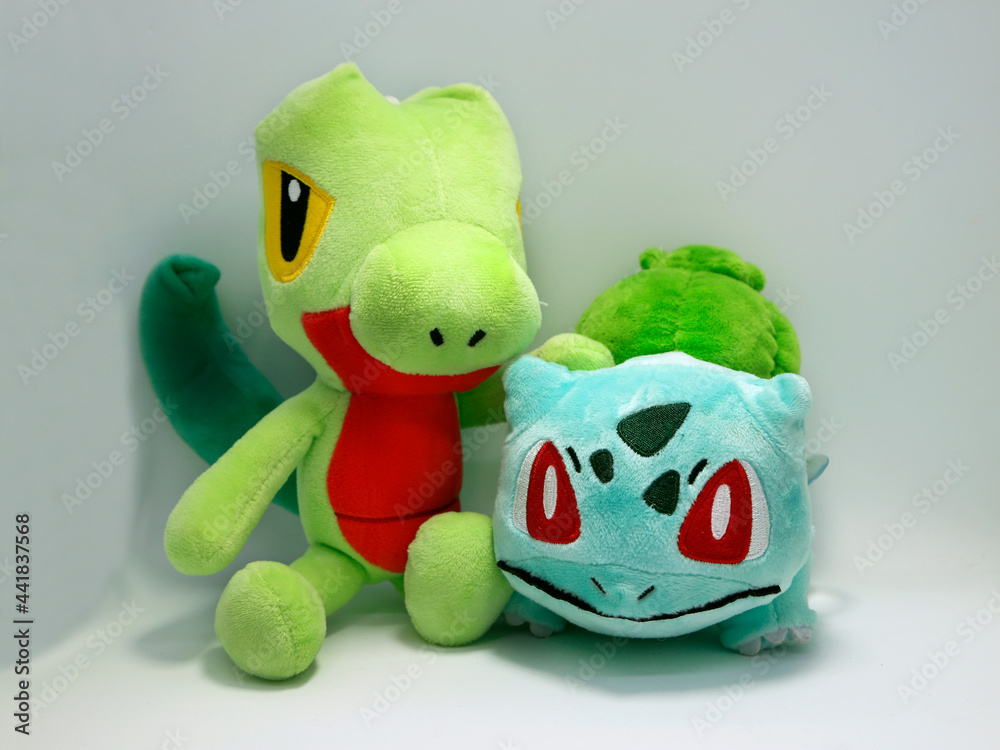 Treecko and Bulbasaur. Pokemon. Fushigidane. It has a large green bulb ...