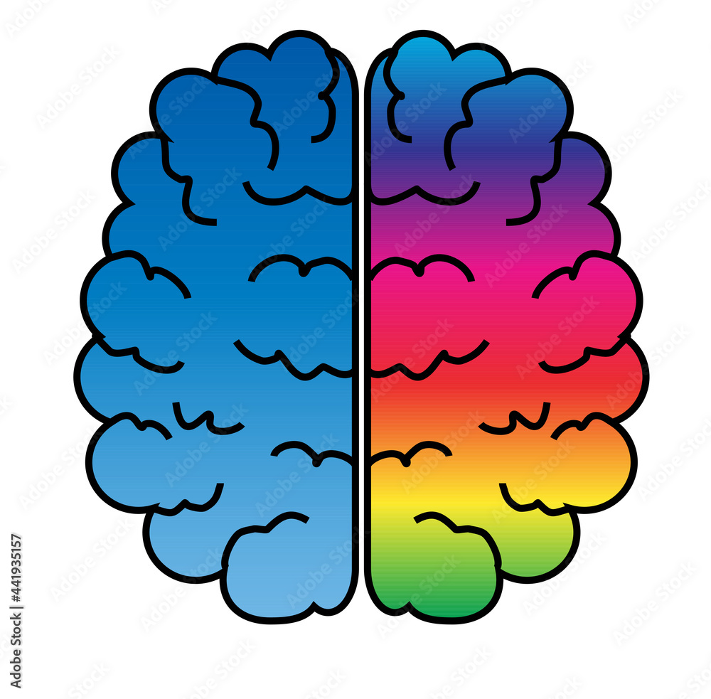 Left and right human brain.Hemispheres brain.Creative and logical ...