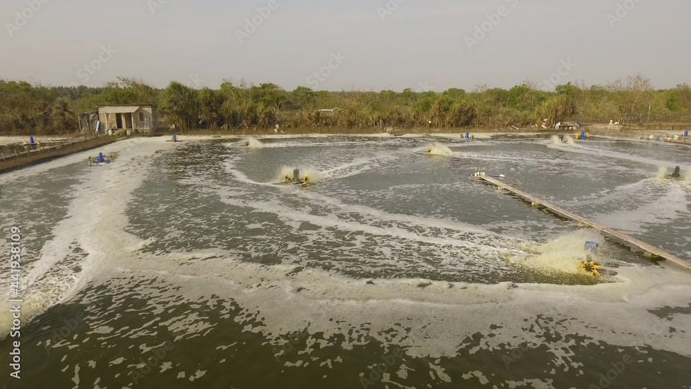 shrimp, prawn farming with with aerator pump for oxygenation water ...