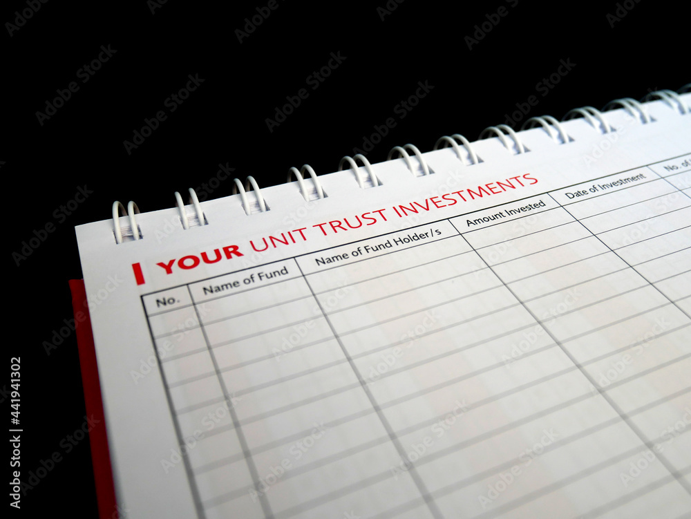 Selected focused on Unit Trust Investment text found on one page of a ...