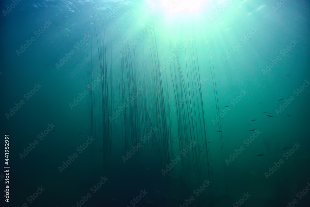 lake background water underwater abstract / fresh water diving ...