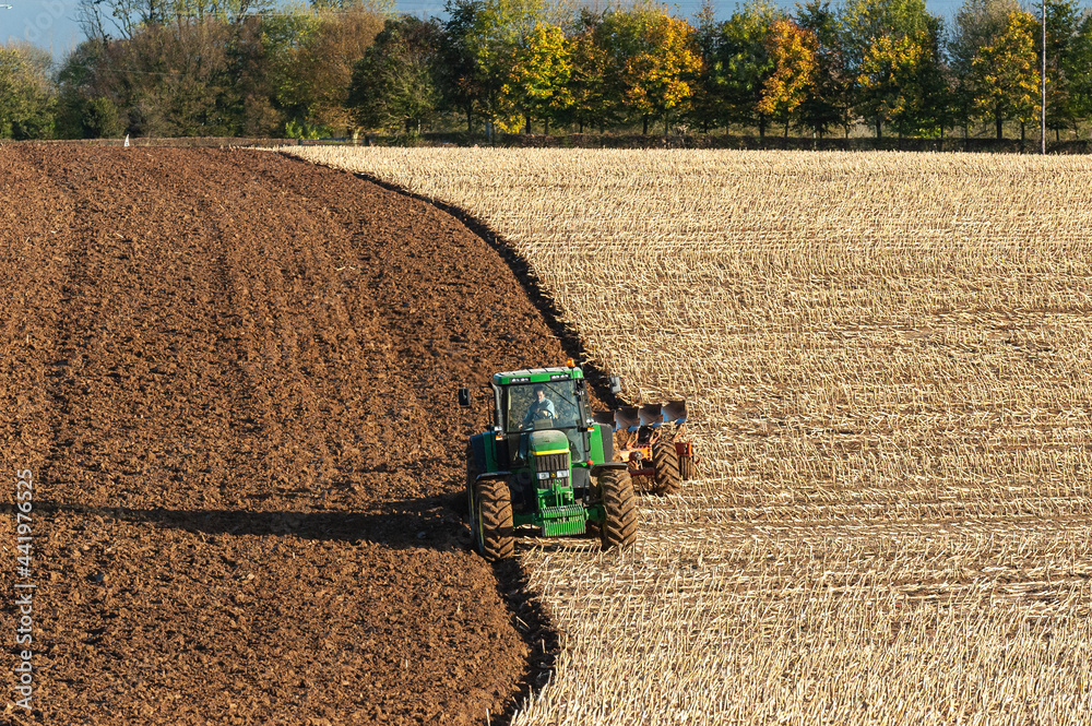 Labour d'automne sur champ de mais Stock Photo | Adobe Stock