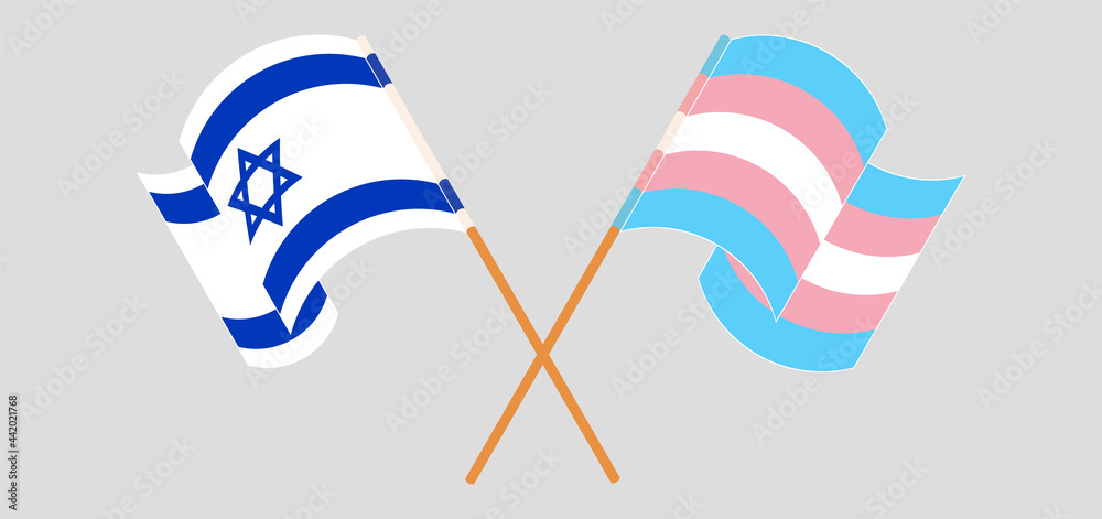 Crossed and waving flags of Israel and transgender pride Stock Vector ...