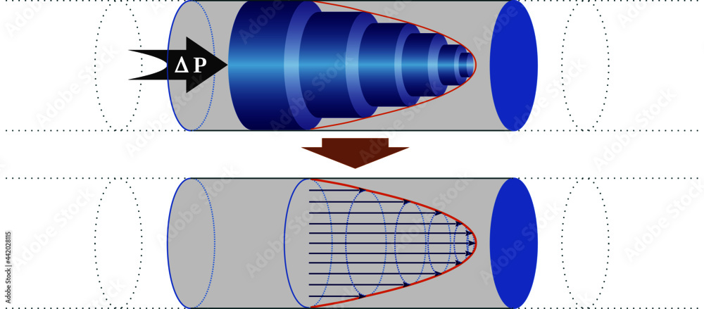 Parabolic flow profile for fluids with constant viscosity that move ...