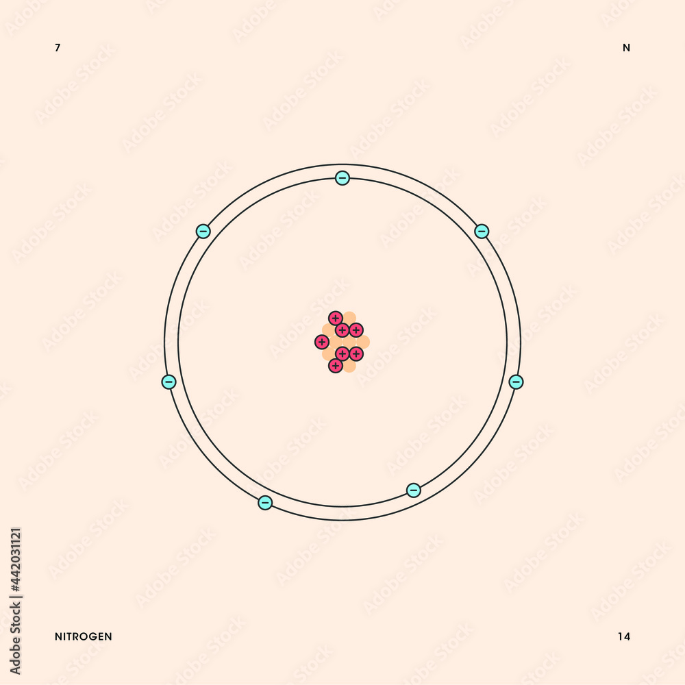Bohr model representation of the nitrogen atom, number 7 and symbol N ...