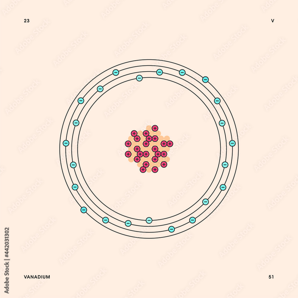 Bohr model representation of the vanadium atom, number 23 and symbol V ...