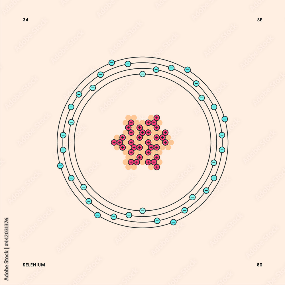 Bohr Model Representation Of The Selenium Atom Number 34 And Symbol Se Conceptual Vector