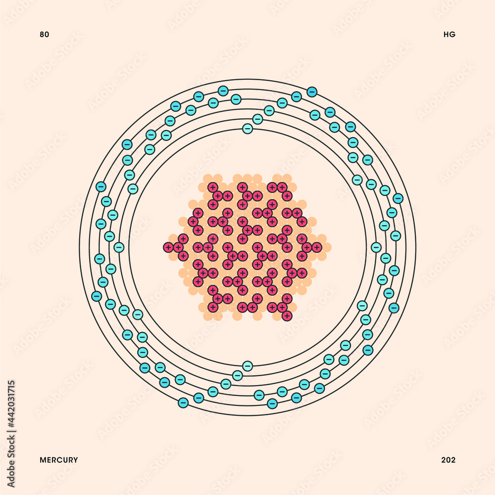 Bohr model representation of the mercury atom, number 80 and symbol Hg ...