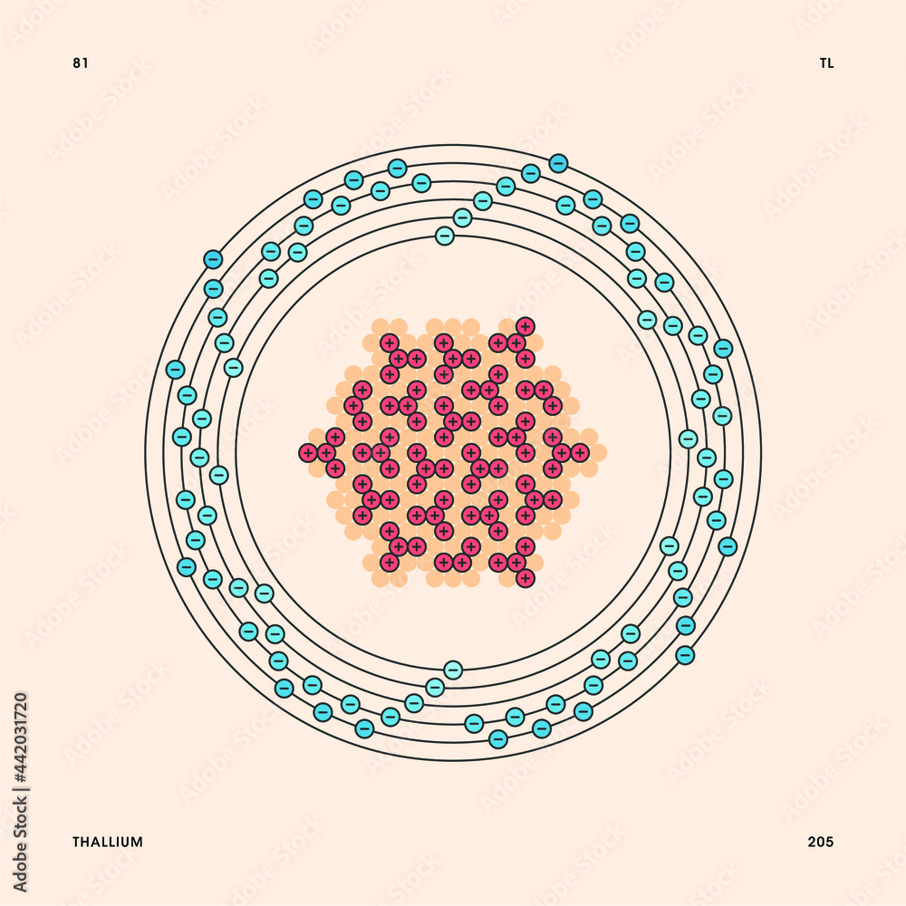 Bohr model representation of the thallium atom, number 81 and symbol Tl ...
