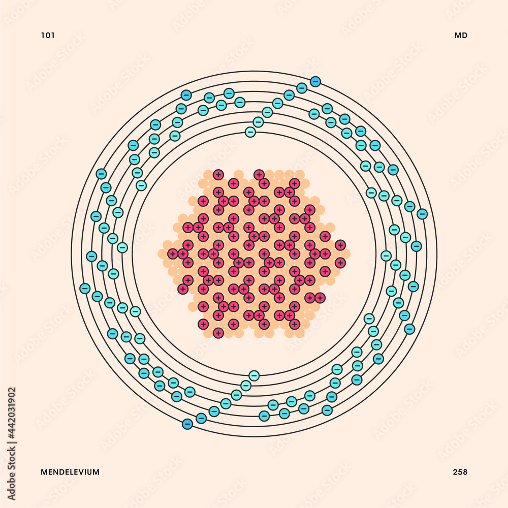 Bohr model representation of the mendelevium atom, number 101 and ...
