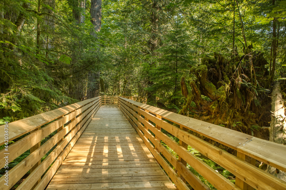 Wooden bridge structure under construction in the middle of an old ...