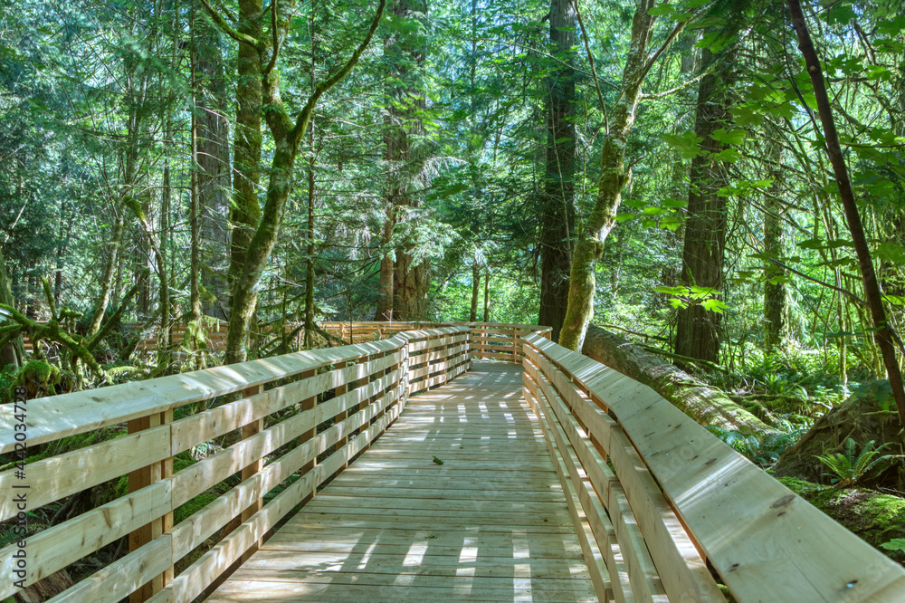 Foto de Wooden bridge structure under construction in the middle of an ...