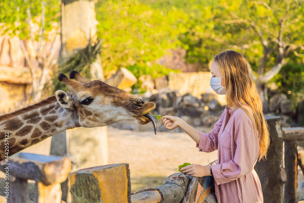 Woman Zoo Giraffes