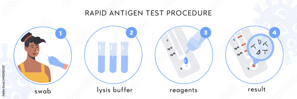 Covid-19 Rapid Antigen test procedure Infographic. A doctor takes nasal ...