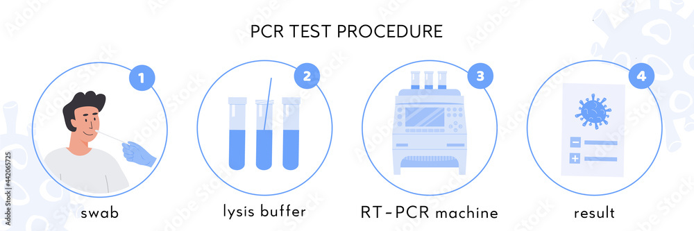 Covid-19 test procedure Infographic. A doctor in latex gloves takes ...
