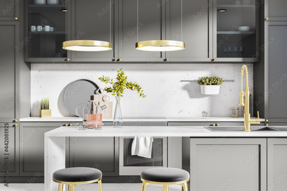 Grey kitchen interior with island, appliances, sunlight. Design concept ...