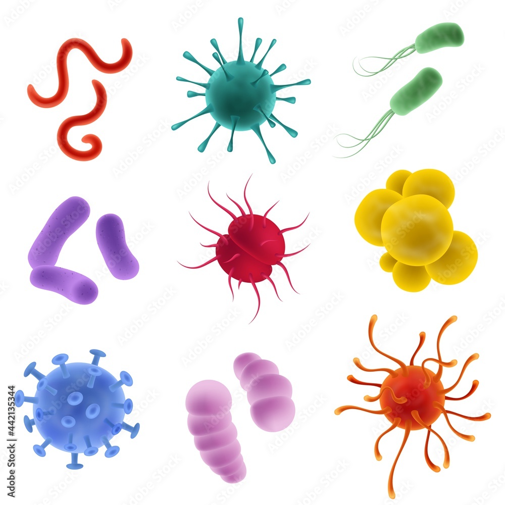 Realistic types viruses. Microorganism shapes. Bacteria, germs and ...