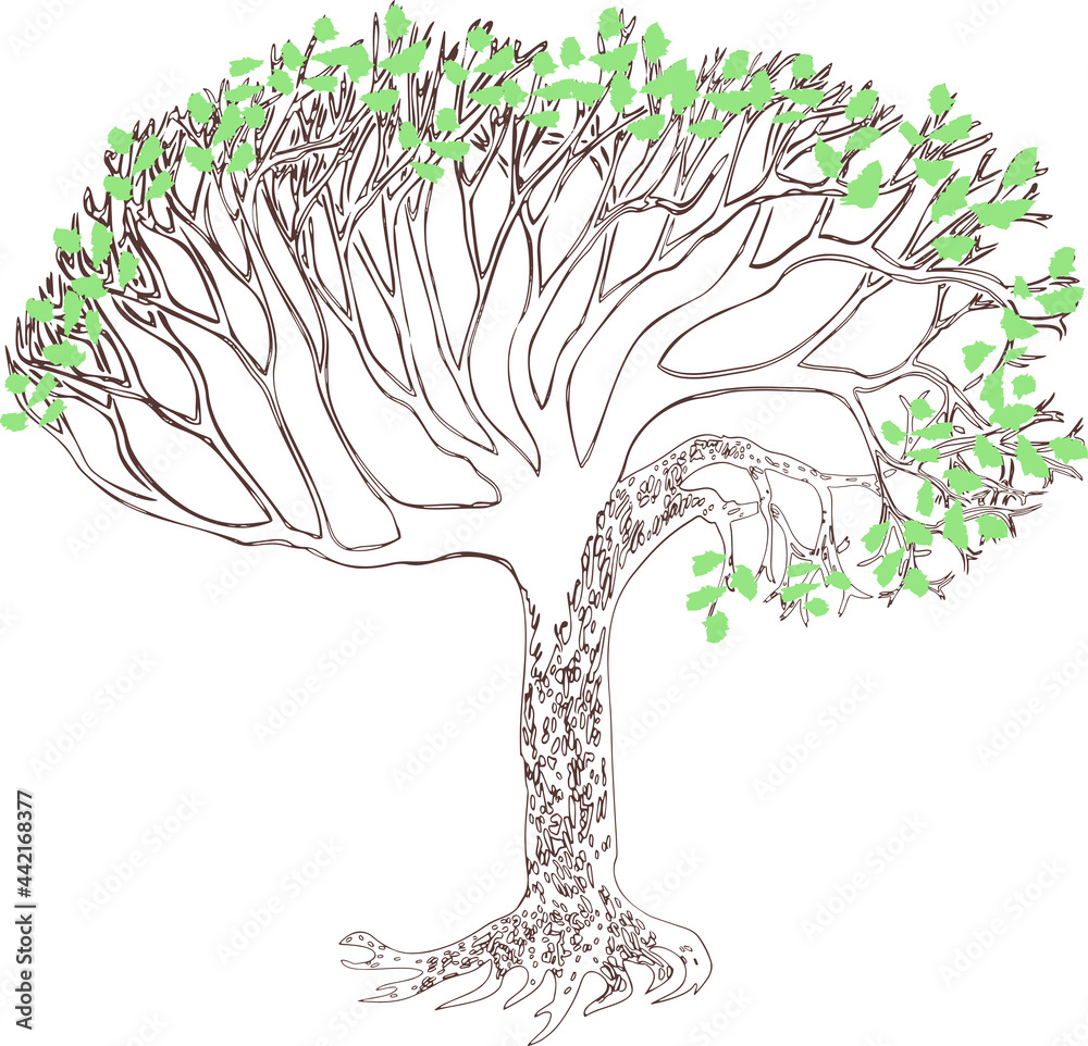 Vector outline drawing of decorative tree with roots and leaves Stock ...