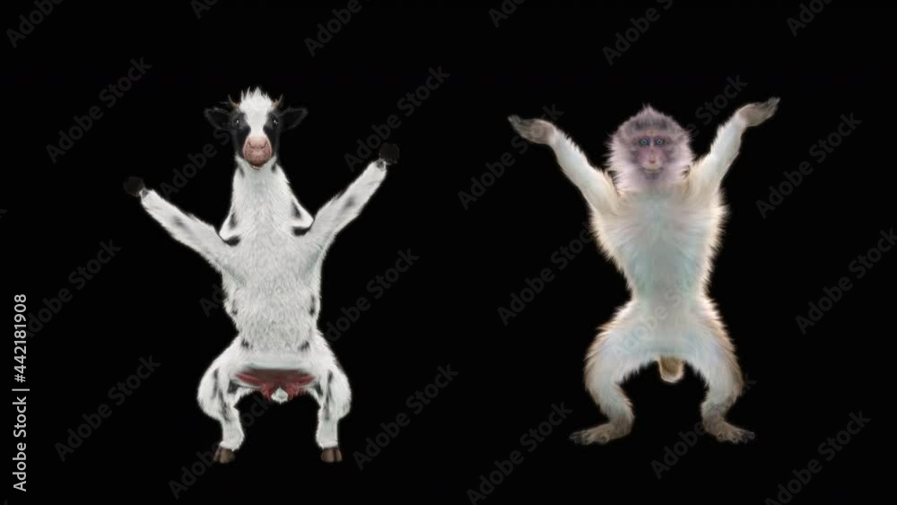 Cow and monkeys Dancing, CG fur 3d rendering animal realistic CGI VFX ...