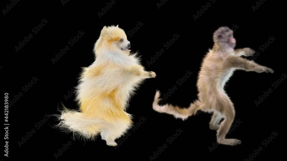 Dog and monkeys Dancing, CG fur 3d rendering animal realistic CGI VFX ...