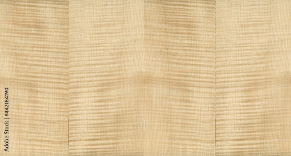 Beautiful rippled sycamore veneer texture seamless high resolution ...
