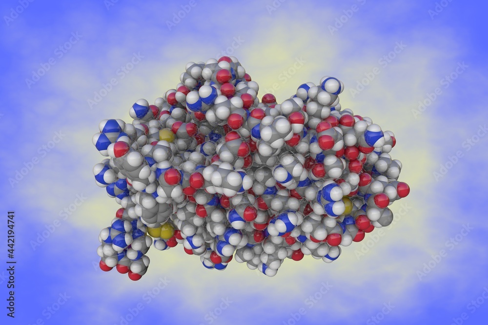 Molecular model of human erythropoietin (EPO, epoetin). Atoms are shown ...