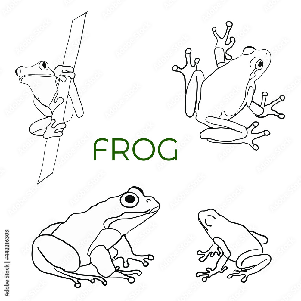 Frog Isolated On White Background.Sketch of doodle frog. Frog toad ...