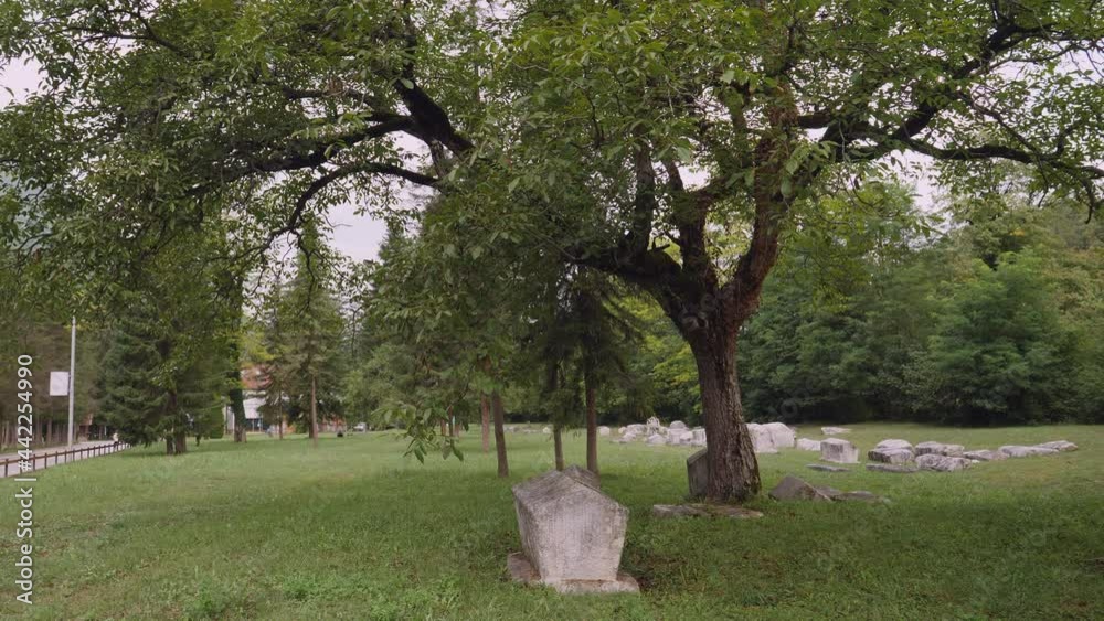 An ancient grave under an old tree in the graveyard of Mramorje ...