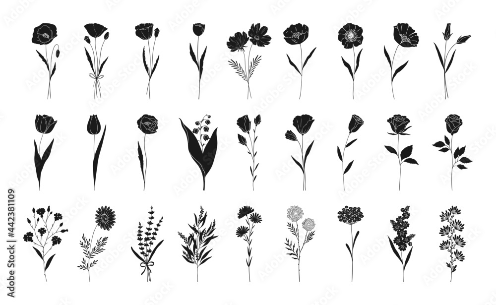 Floral set, hand drawn flowers silhouettes. Poppy, rose, lily of the ...