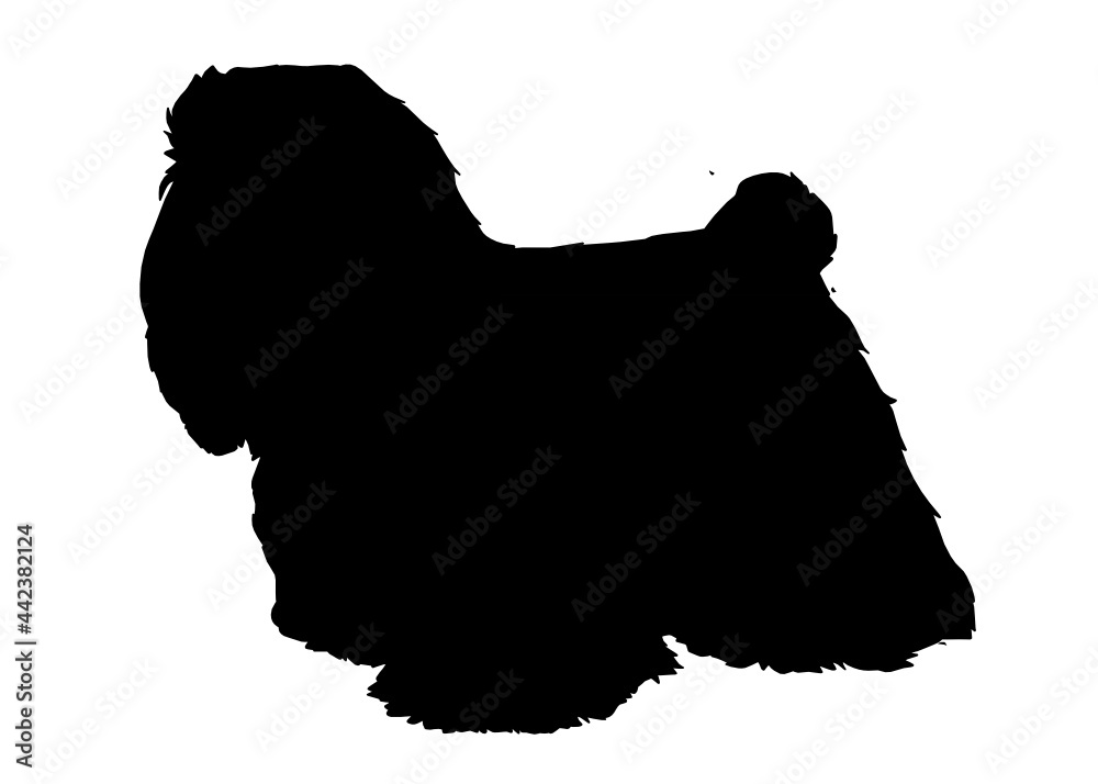 Maltese dog silhouette, Vector illustration silhouette of a dog on a ...