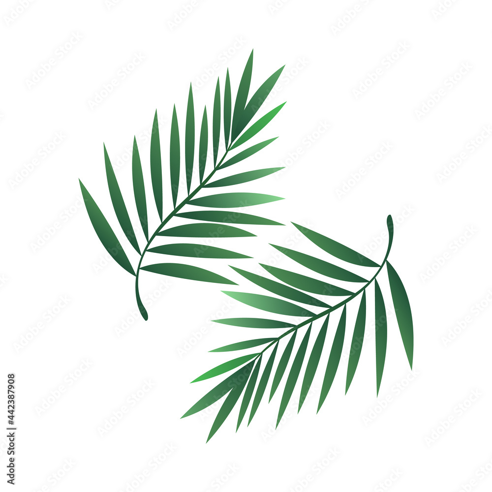 Palm tree leaves symbol vector isolated on white background ...