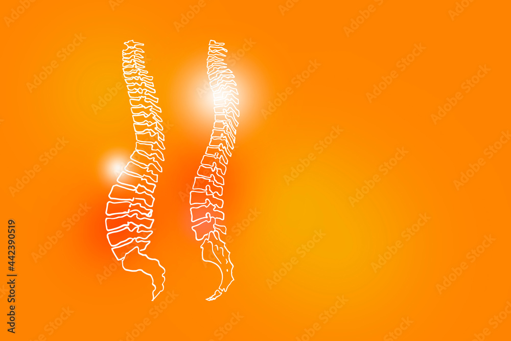 Handrawn illustration of human Spine on positive orange background ...